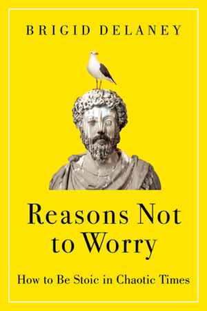 Reasons Not to Worry by Brigid Delaney - Book Summary & Takeaways